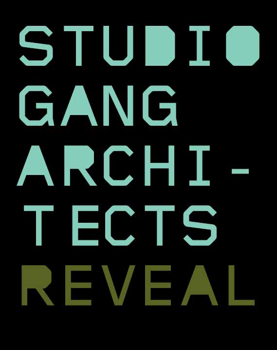 Reveal – Studio Gang