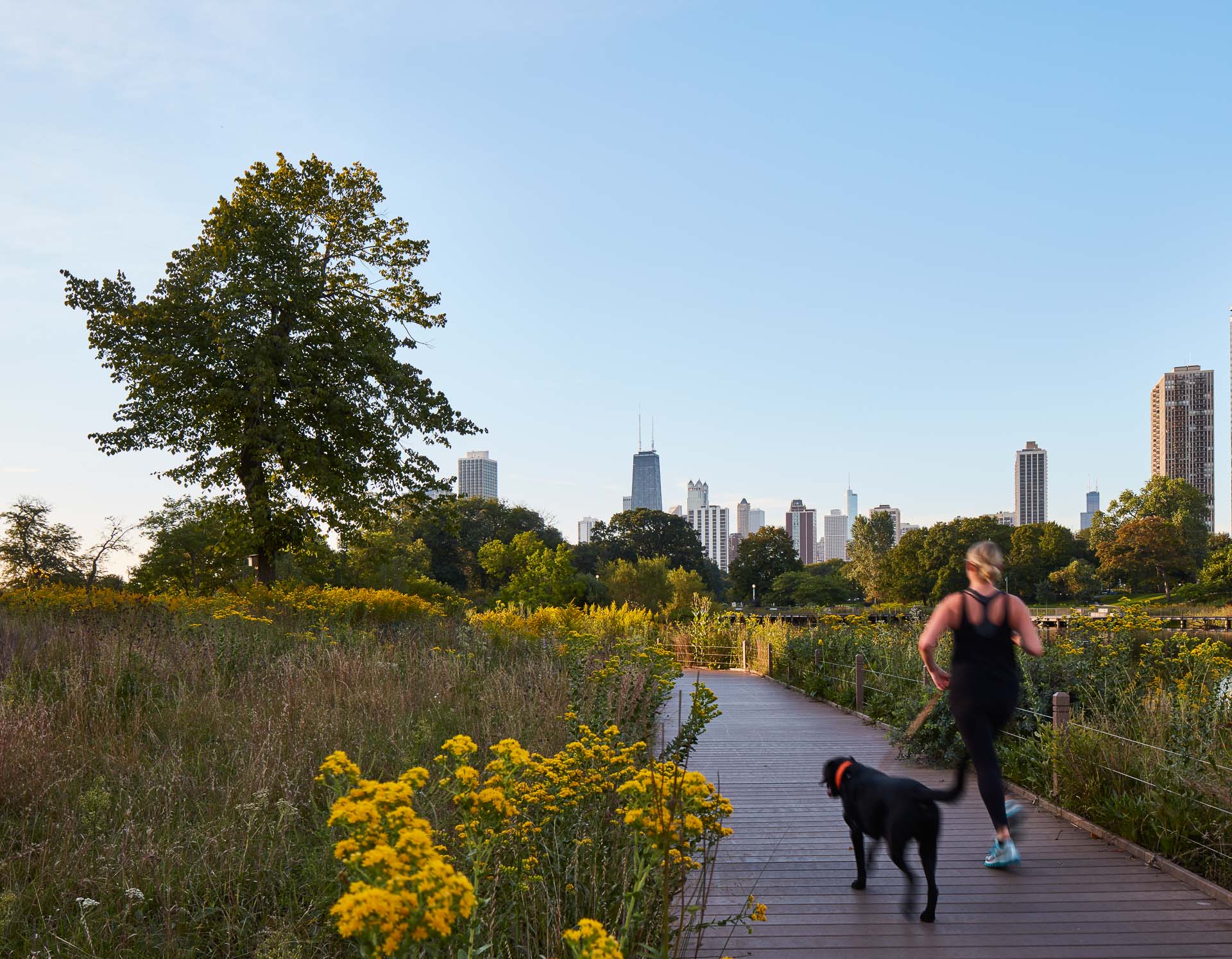Nature Boardwalk at Lincoln Park Zoo – Studio Gang